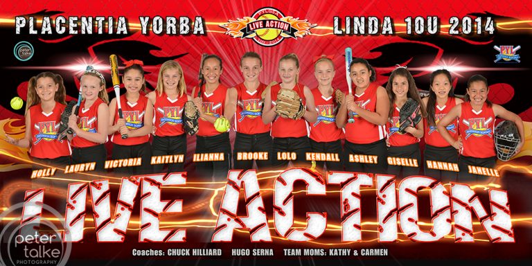 Custom Softball Banners: A Must-have for Every Team – Grant Fuhr MKT
